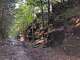 All aboard the Moosup Valley State Park Trail, a challenging hike with ...