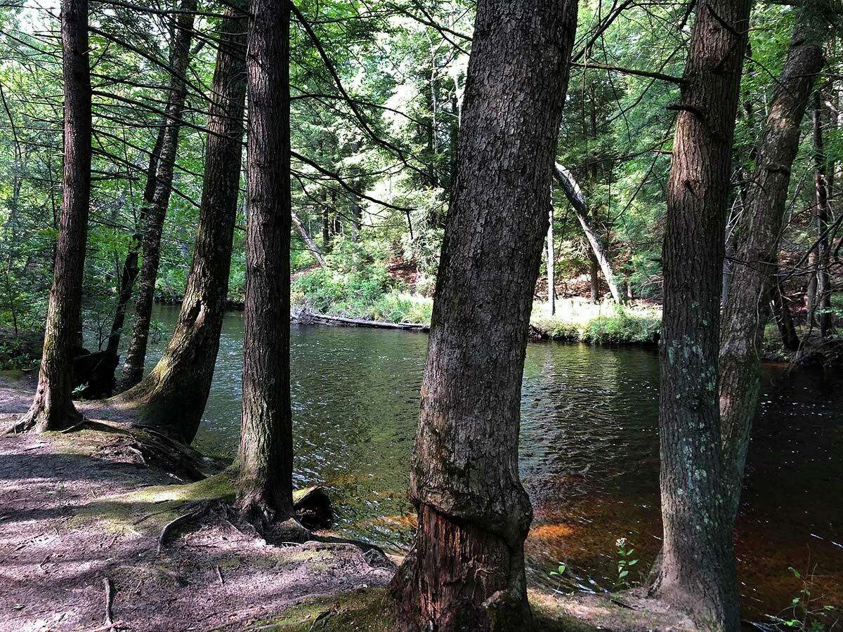 All aboard the Moosup Valley State Park Trail, a challenging hike with ...