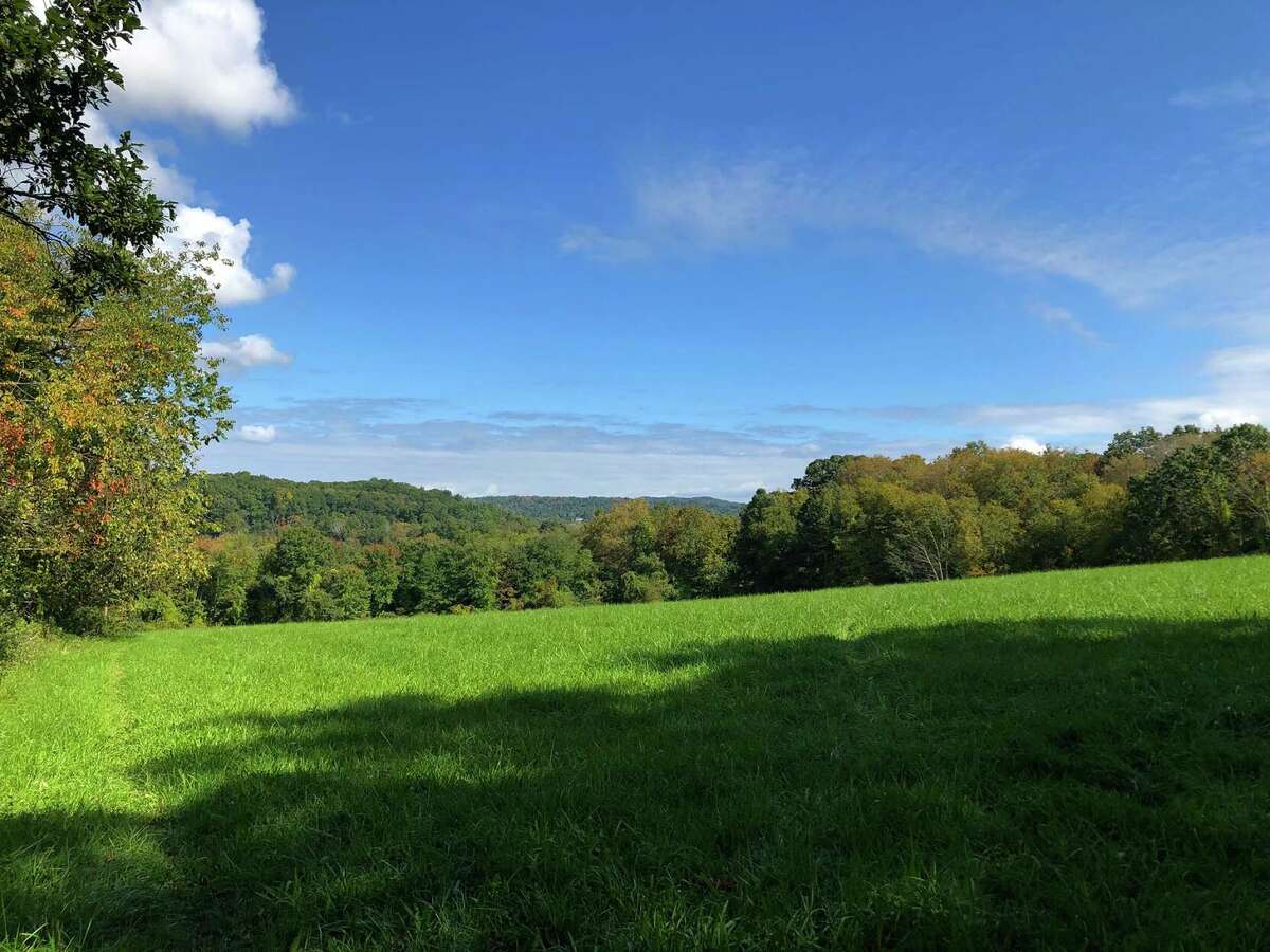 Tyler Mill Preserve boasts variety and challenges over 1,000 acres in ...