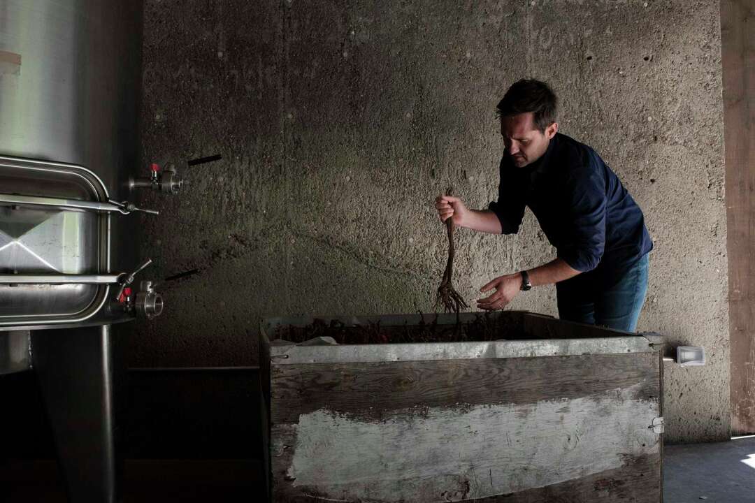 Inside Bond, the Napa winery that takes a decade to craft its $825 wines