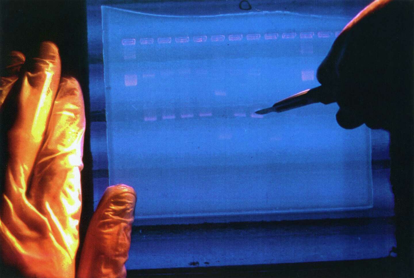 In research breakthrough, California scientists help decode entire ...