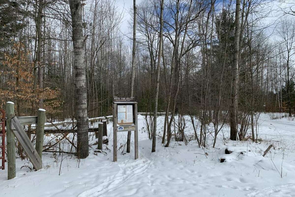 Here's what's open at Mecosta County parks