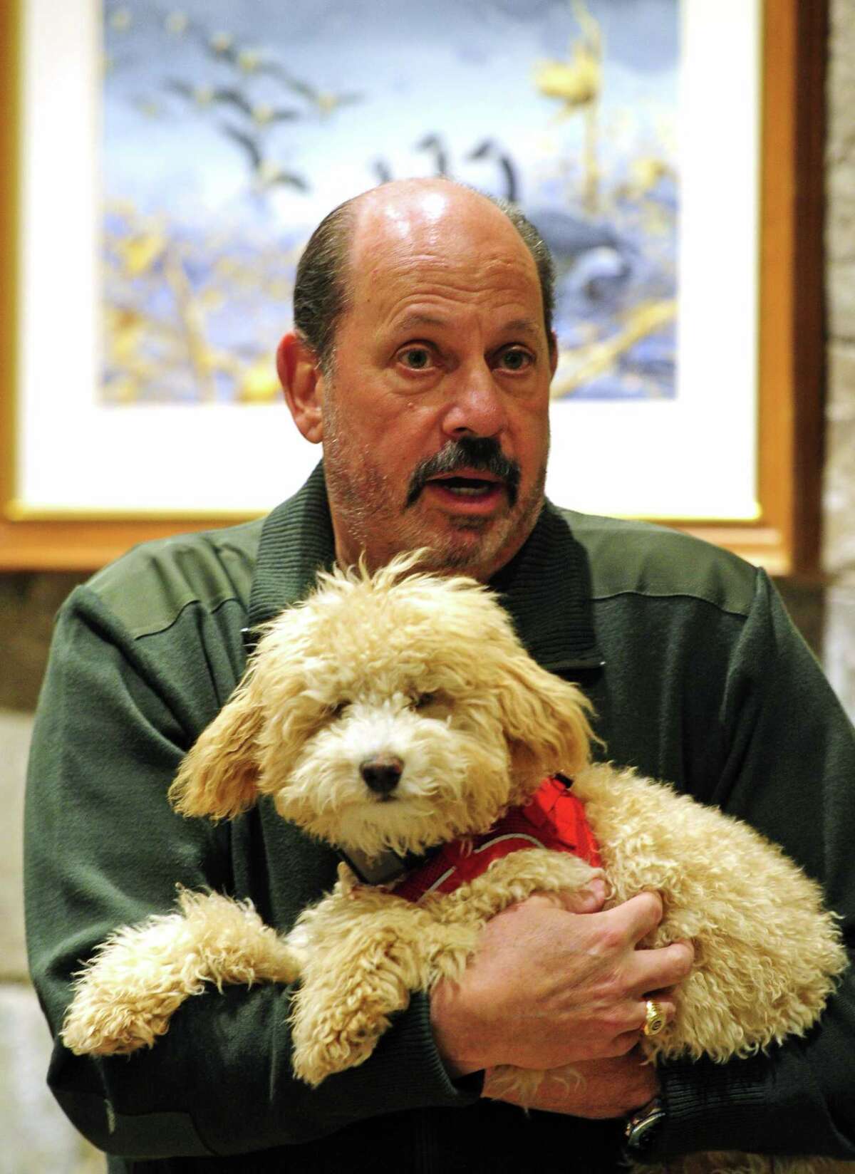 Greenwich collector’s trove of 61 duck stamp-inspired paintings heads ...