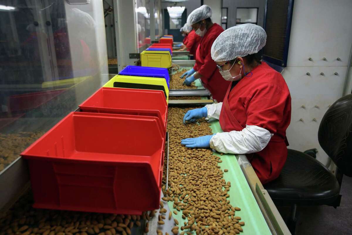 Why much of California’s top crop — almonds — has been purchased, but ...