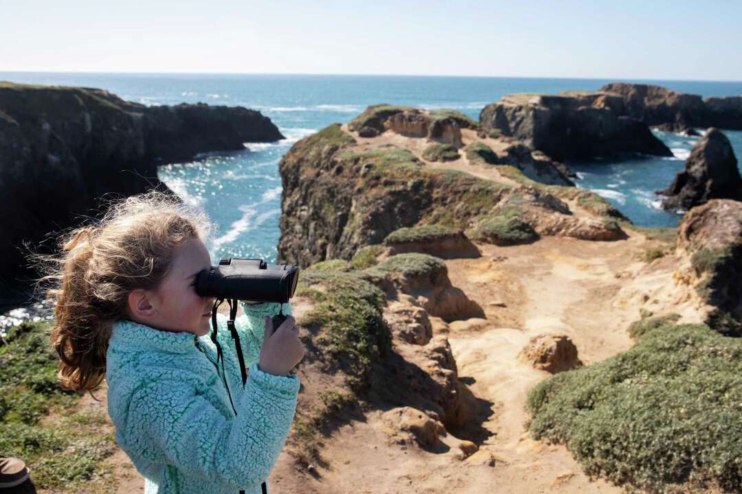 California North Coast road trip: Hidden beaches, giant redwoods and ...