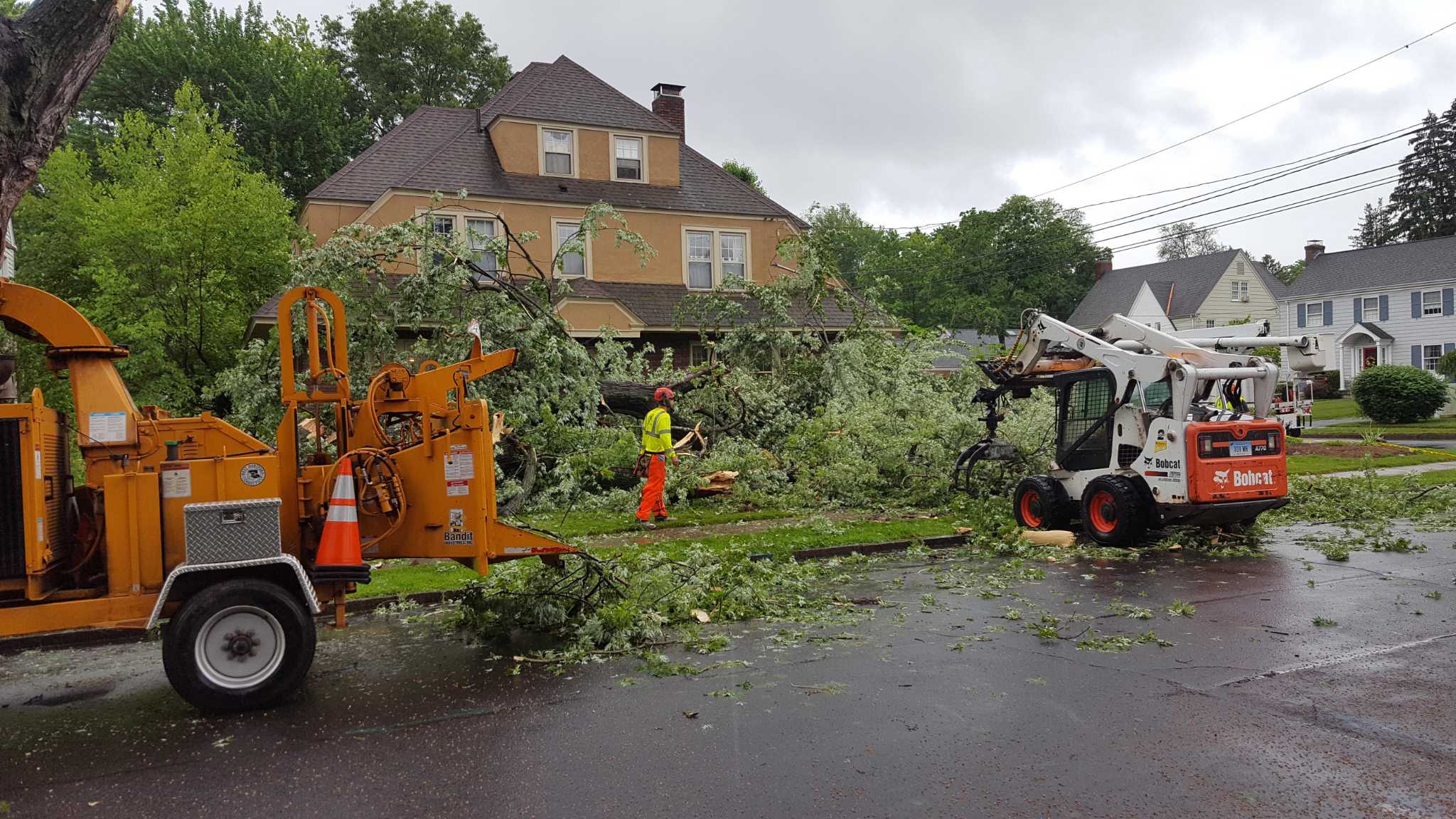 West Hartford Tree Project distributes free trees to town residents