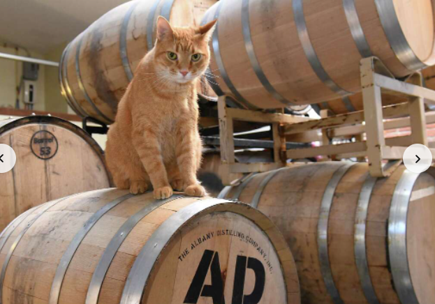 Fighting supply chain issues, distiller moves to larger digs