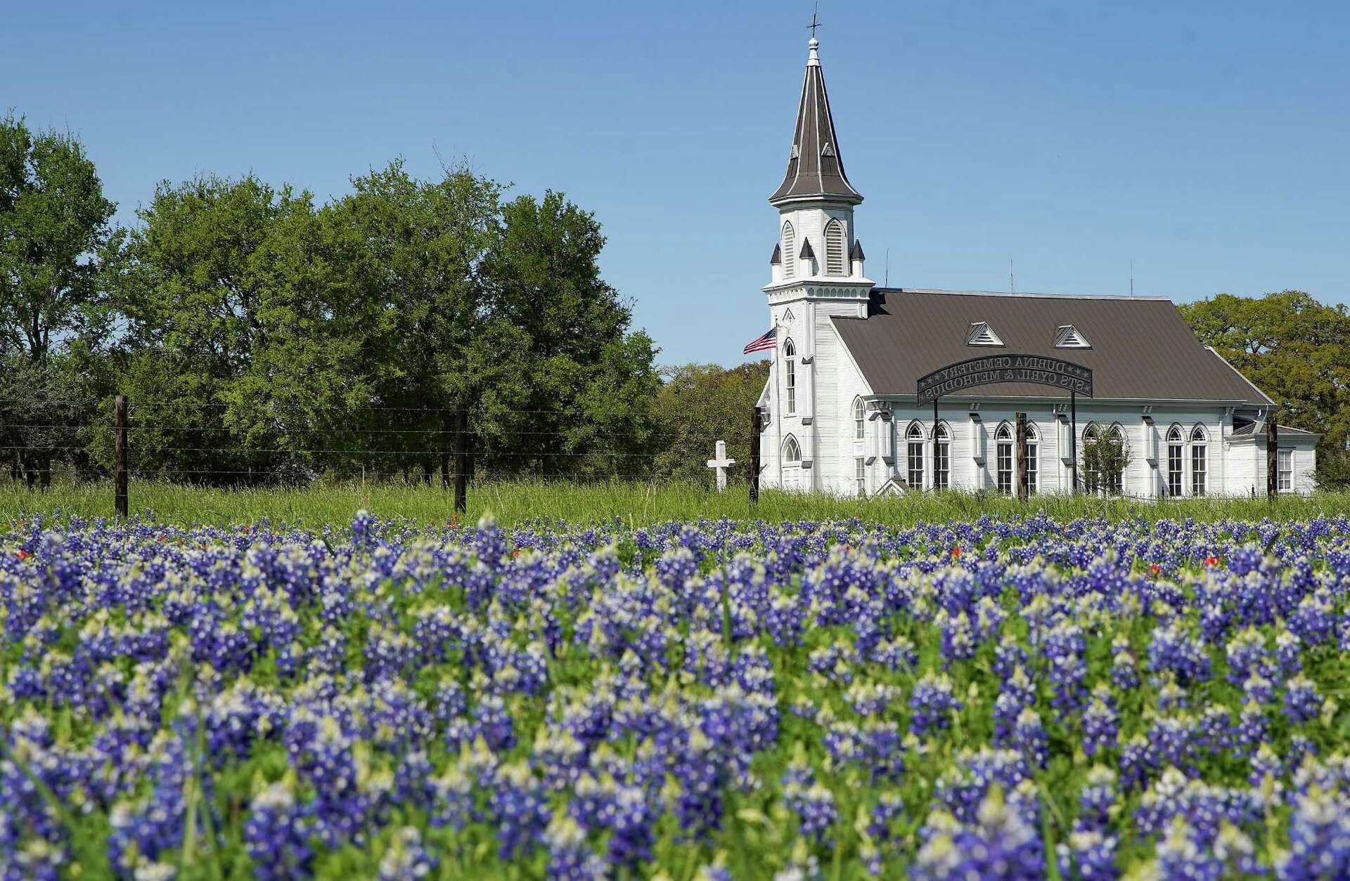 When is the best time to see bluebonnets and wildflowers? The season’s ...