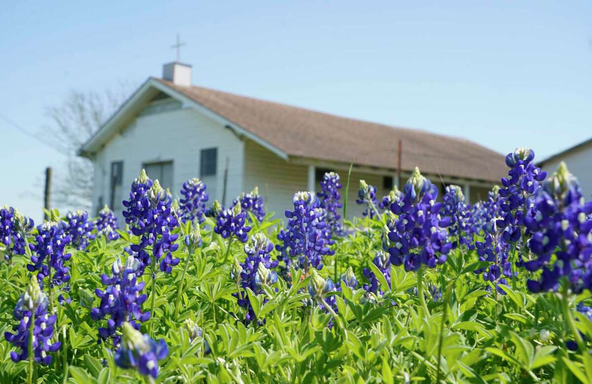 With wildflowers all around, Houston family finds a vacation retreat in ...