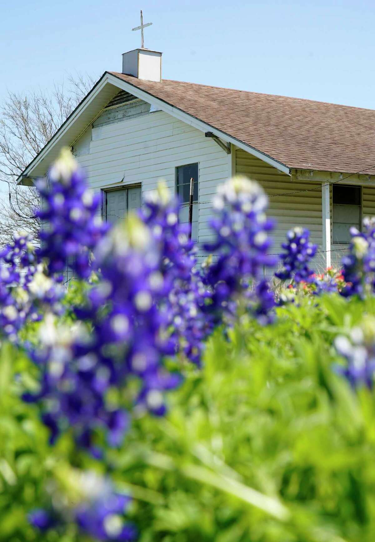 With wildflowers all around, Houston family finds a vacation retreat in ...