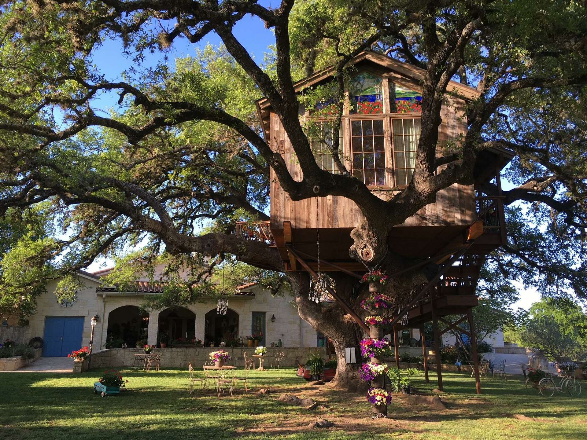 This Hill Country restaurant with treehouse dining gets rave reviews ...
