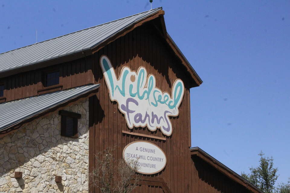 Visiting Texas' massive wildflower seed farm