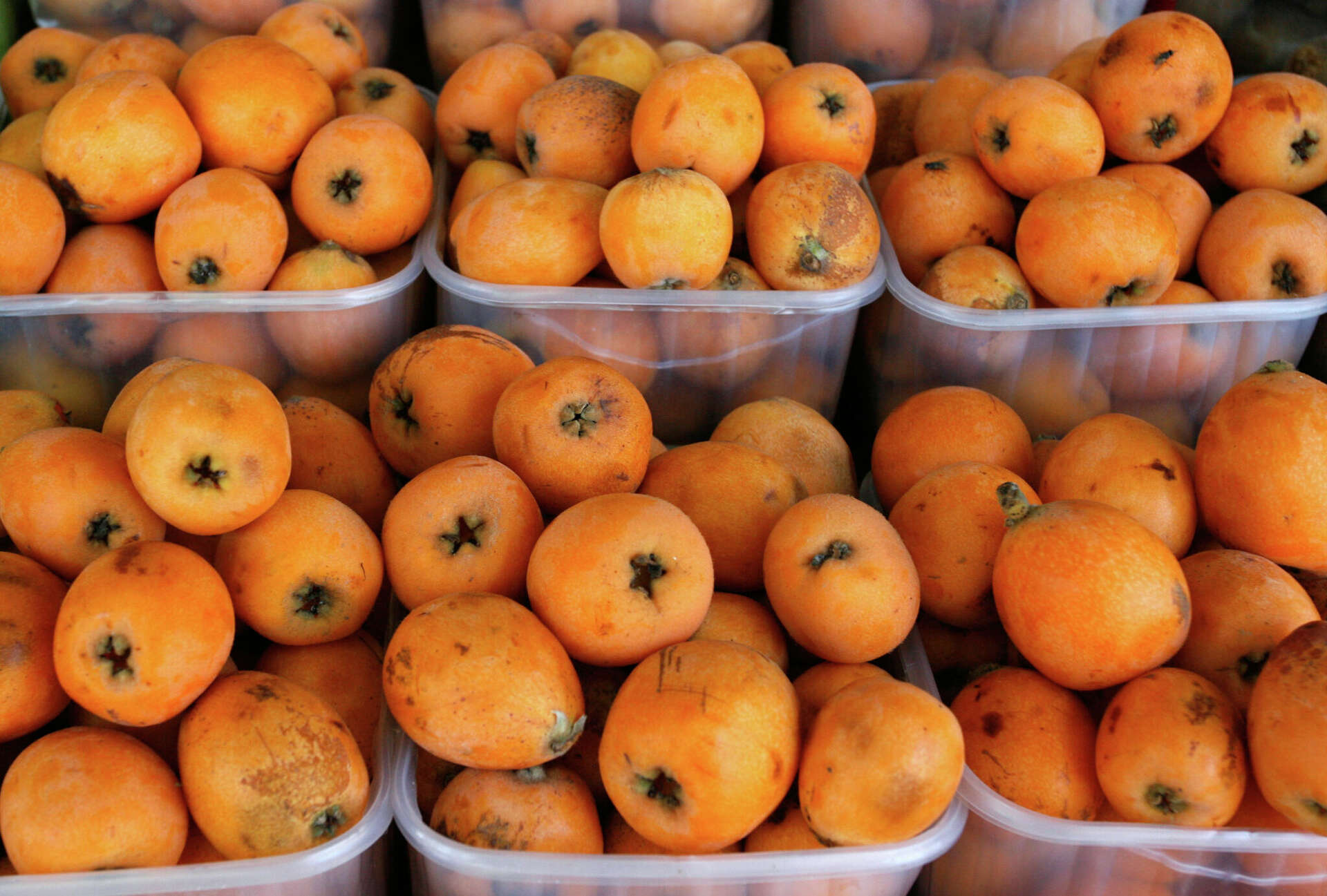 What to know about the small, tasty orange fruit all over Houston