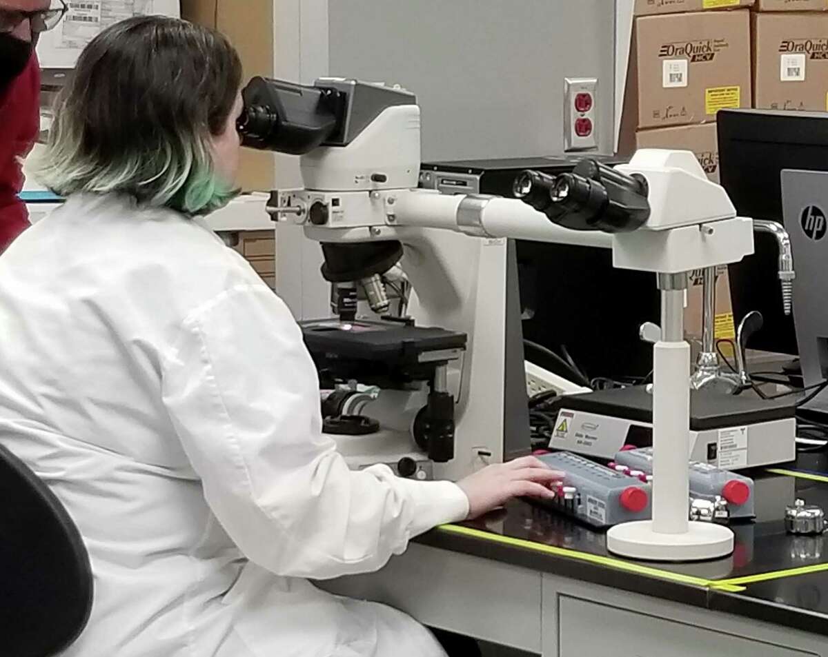 Houston pollen: 'Oakpocalypse' brings city four of five worst pollen ...