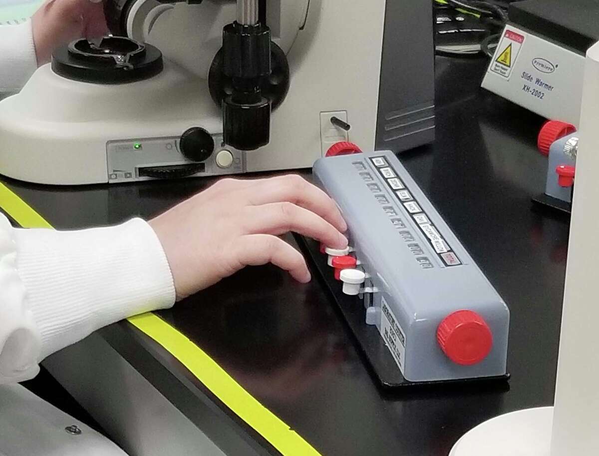 Houston pollen: 'Oakpocalypse' brings city four of five worst pollen ...