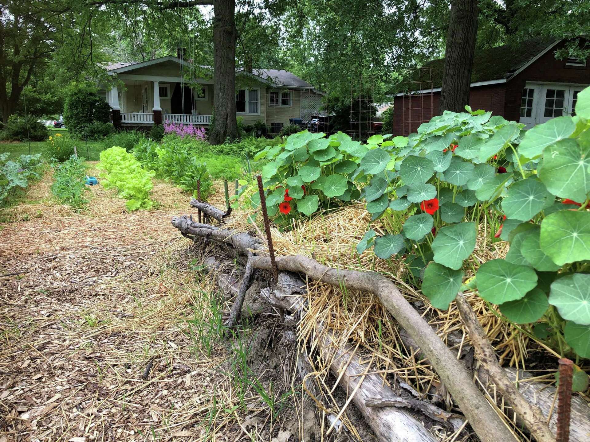 Hugelkultur: A different approach to raised beds, mounds