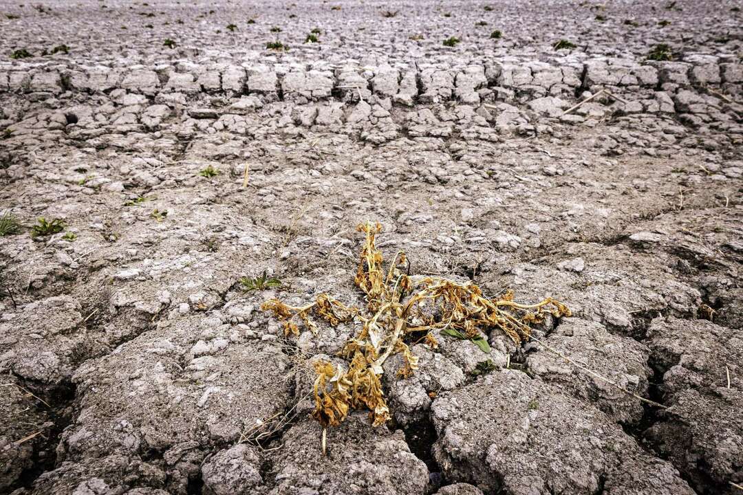 A vast California lake is set to run dry. Scientists are scrambling to ...