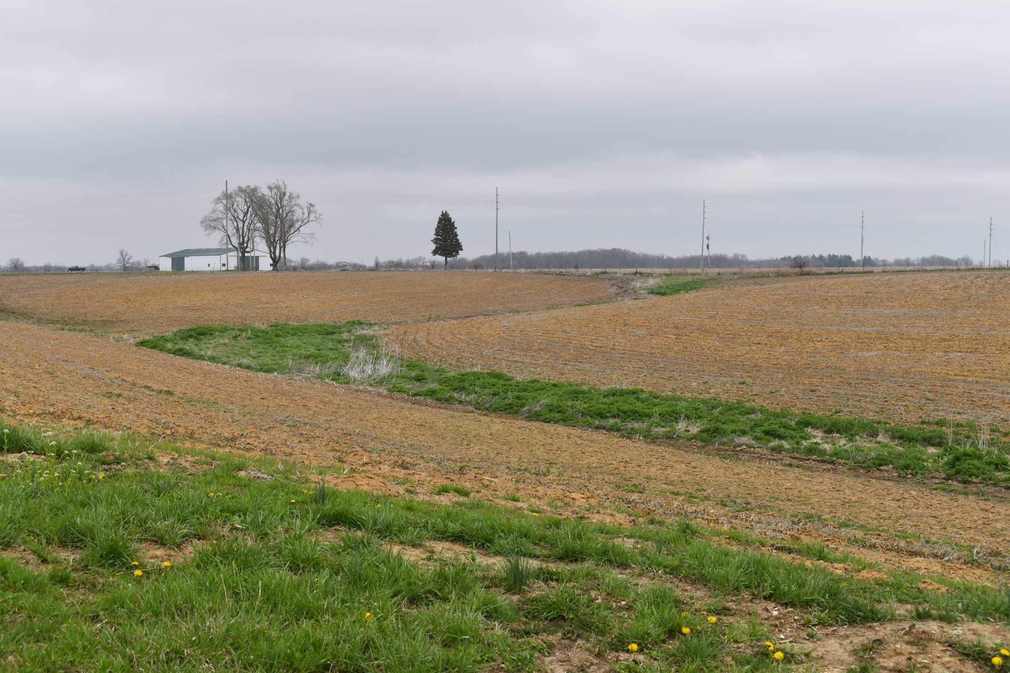 What good soil looks like and how farmers take care of it