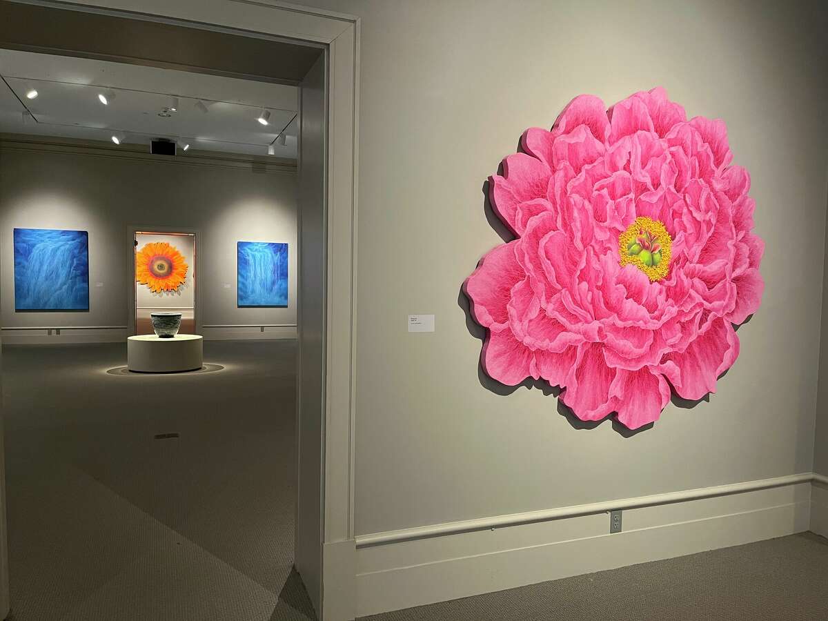 Leigh Li-Yun Wen exhibit at Albany Institute through June 19