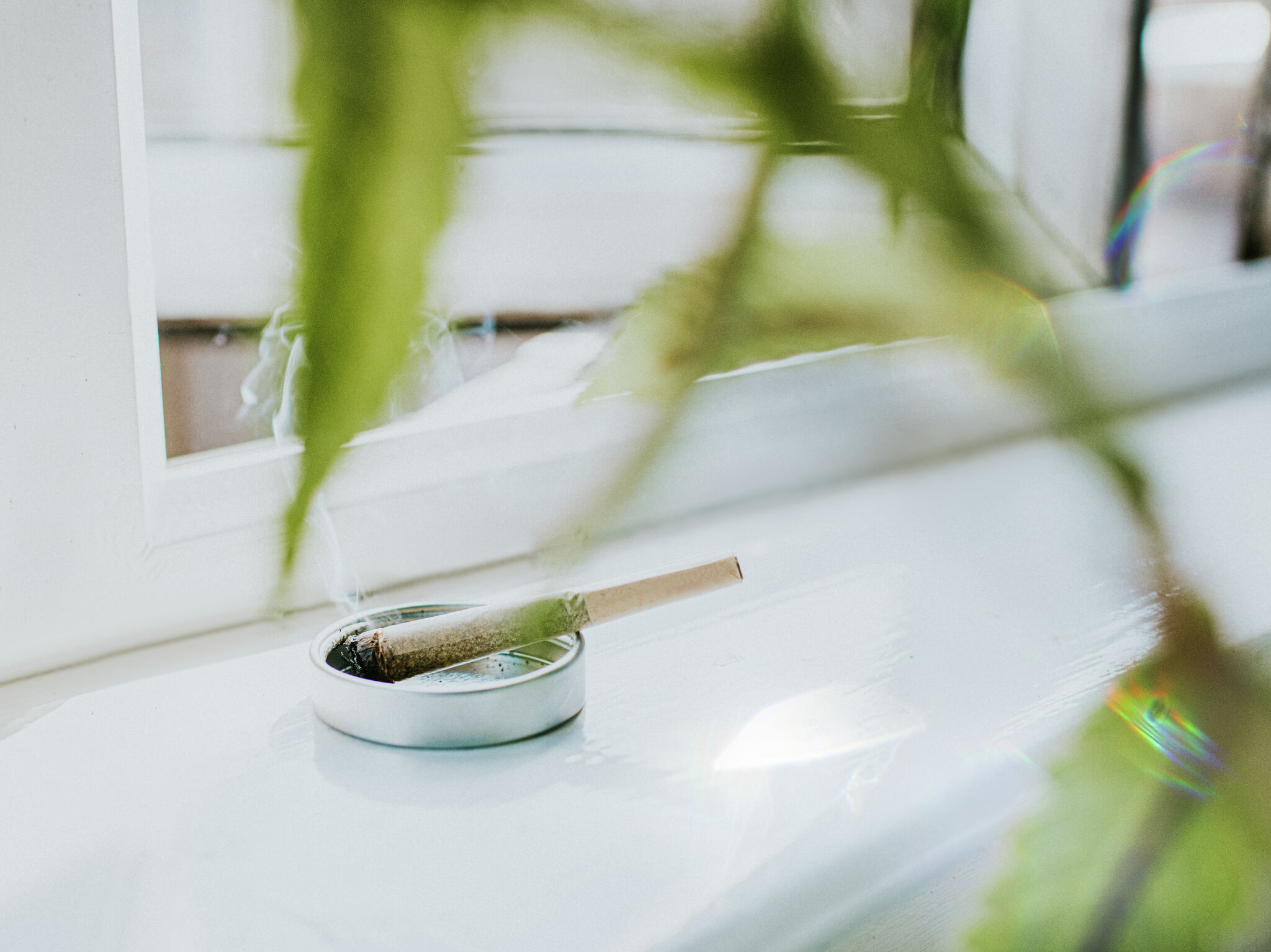 Houston and Harris County marijuana and THC and Delta 8 laws