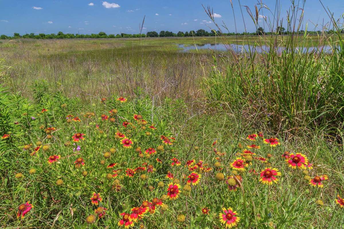 Katy Prairie Conservancy takes on a new name as its reach grows