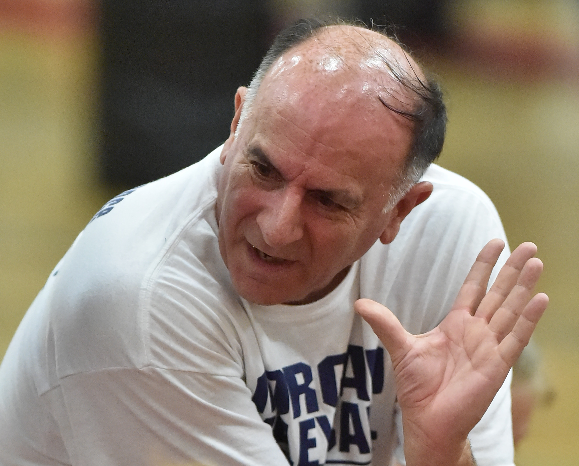 Girls basketball, volleyball: Mounting support to name new Morgan ...