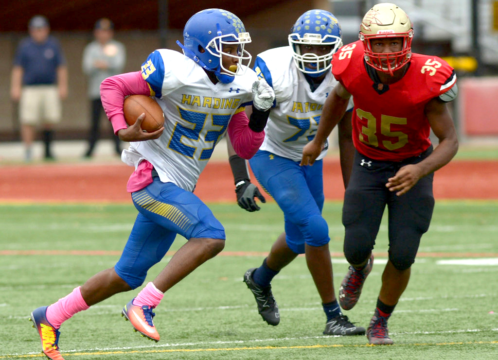 SCC Football 2018: HARDING preview