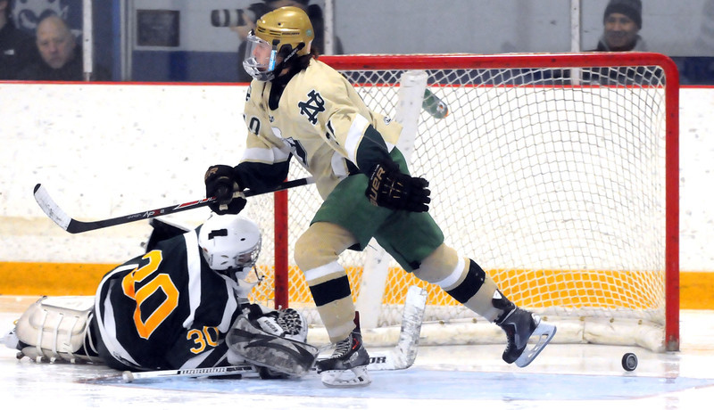 Dumas, No. 1 Notre Dame-West Haven hockey roll past Hamden