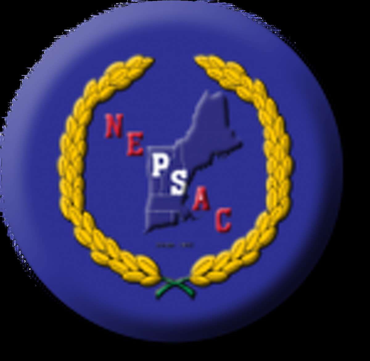 2018 All-NEPSAC Football Teams