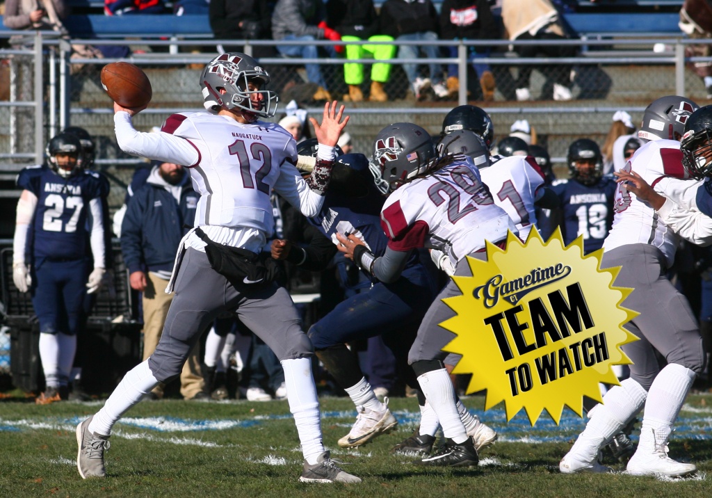 NVL Football 2019: NAUGATUCK preview