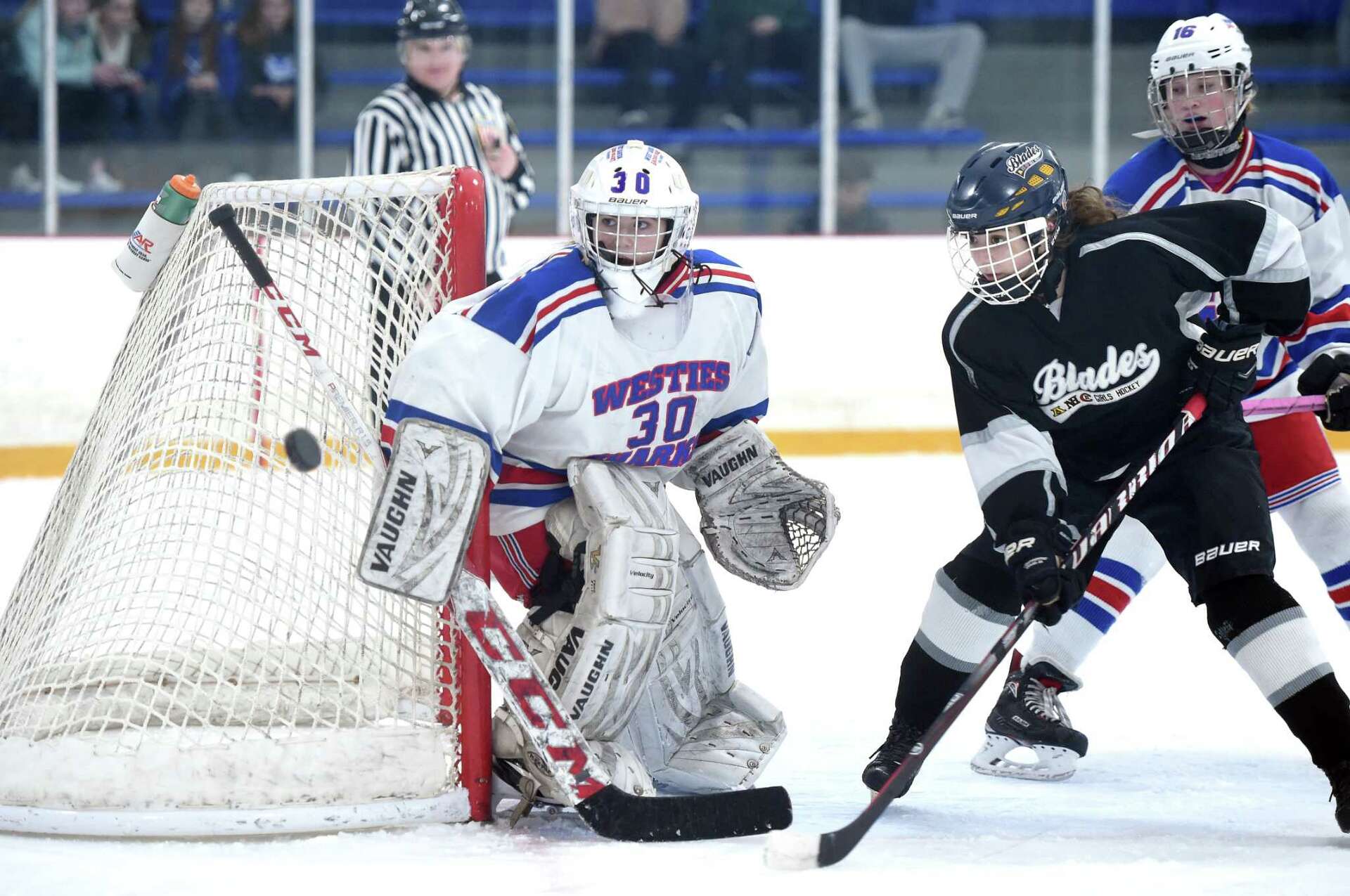 Connecticut boys, girls hockey hall of fame inductions to be held