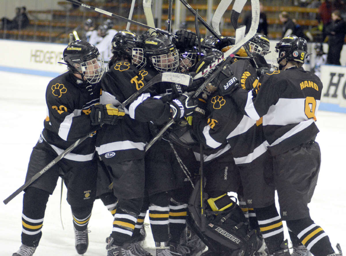 Division II hockey: Dominant second period puts Hand in first final ...
