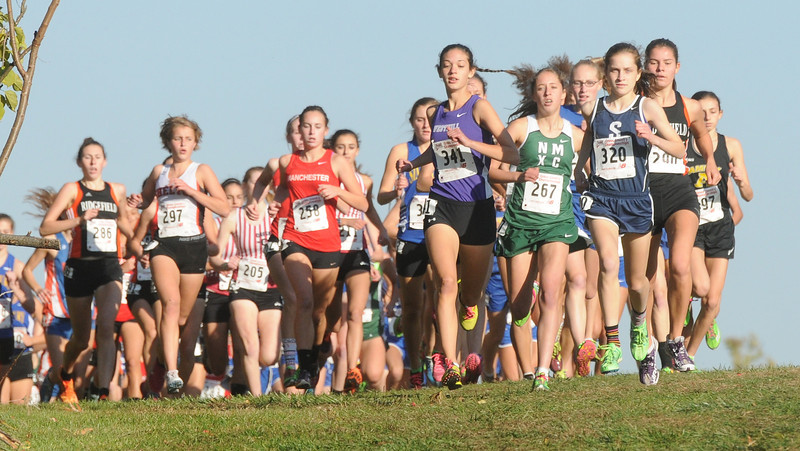Cross Country 2014: A look at the upcoming season
