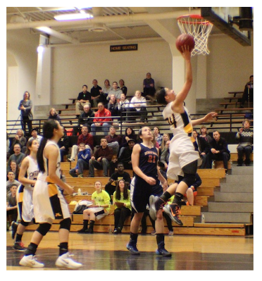 Girls basketball: Court Vision and vote for the Baller of the Week