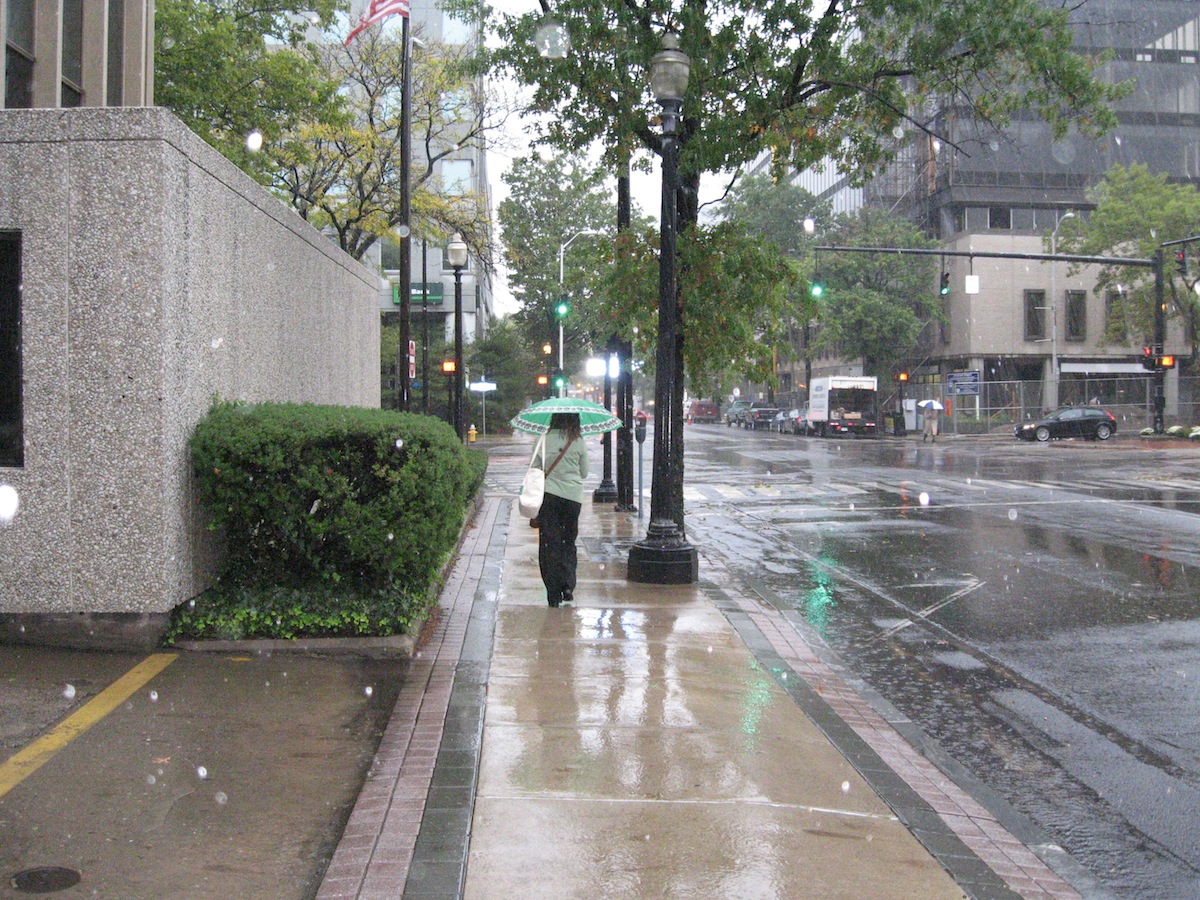 Storm hits region with high winds and rain