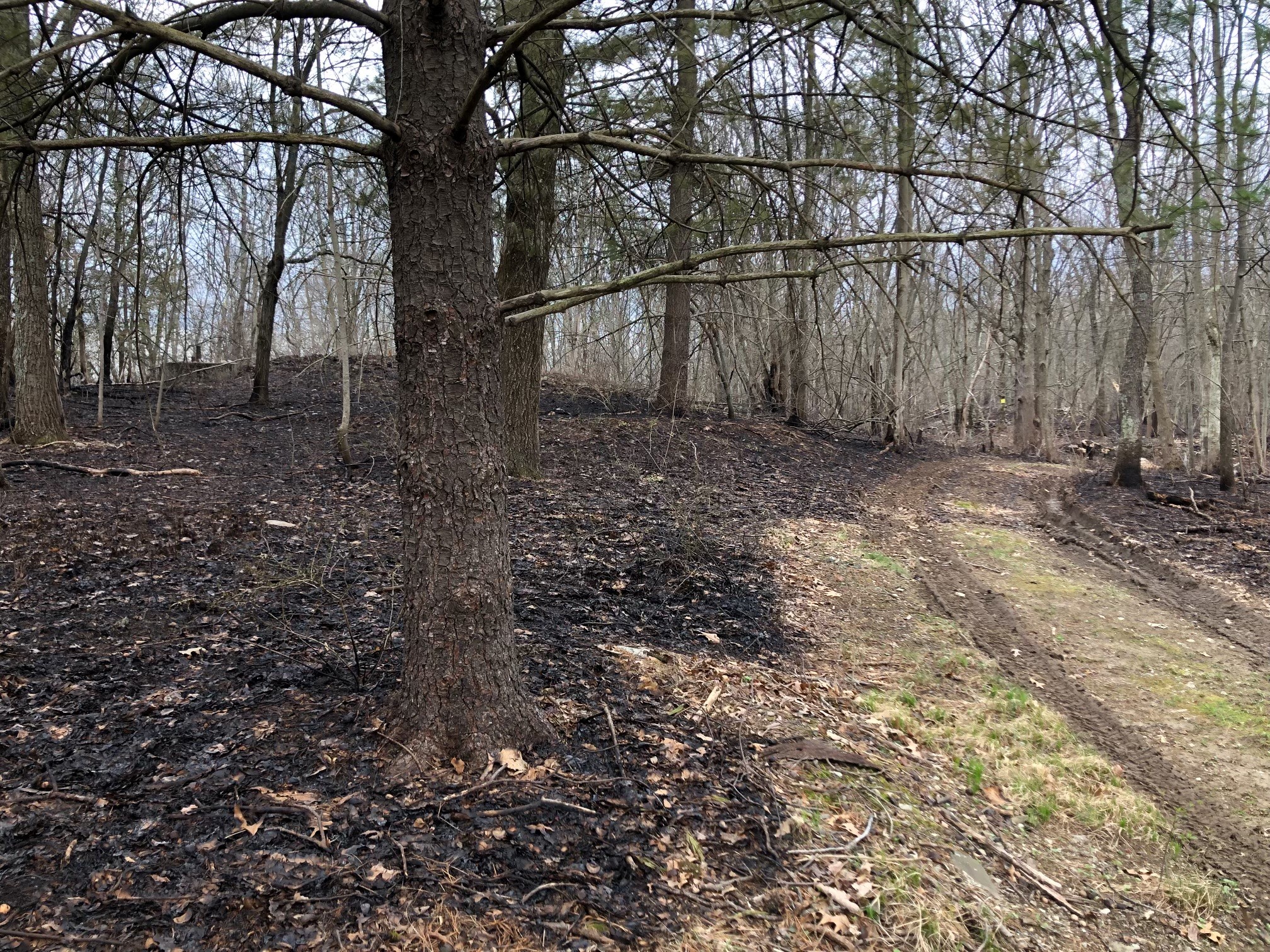 Brush burning ends up torching 38 acres of private land