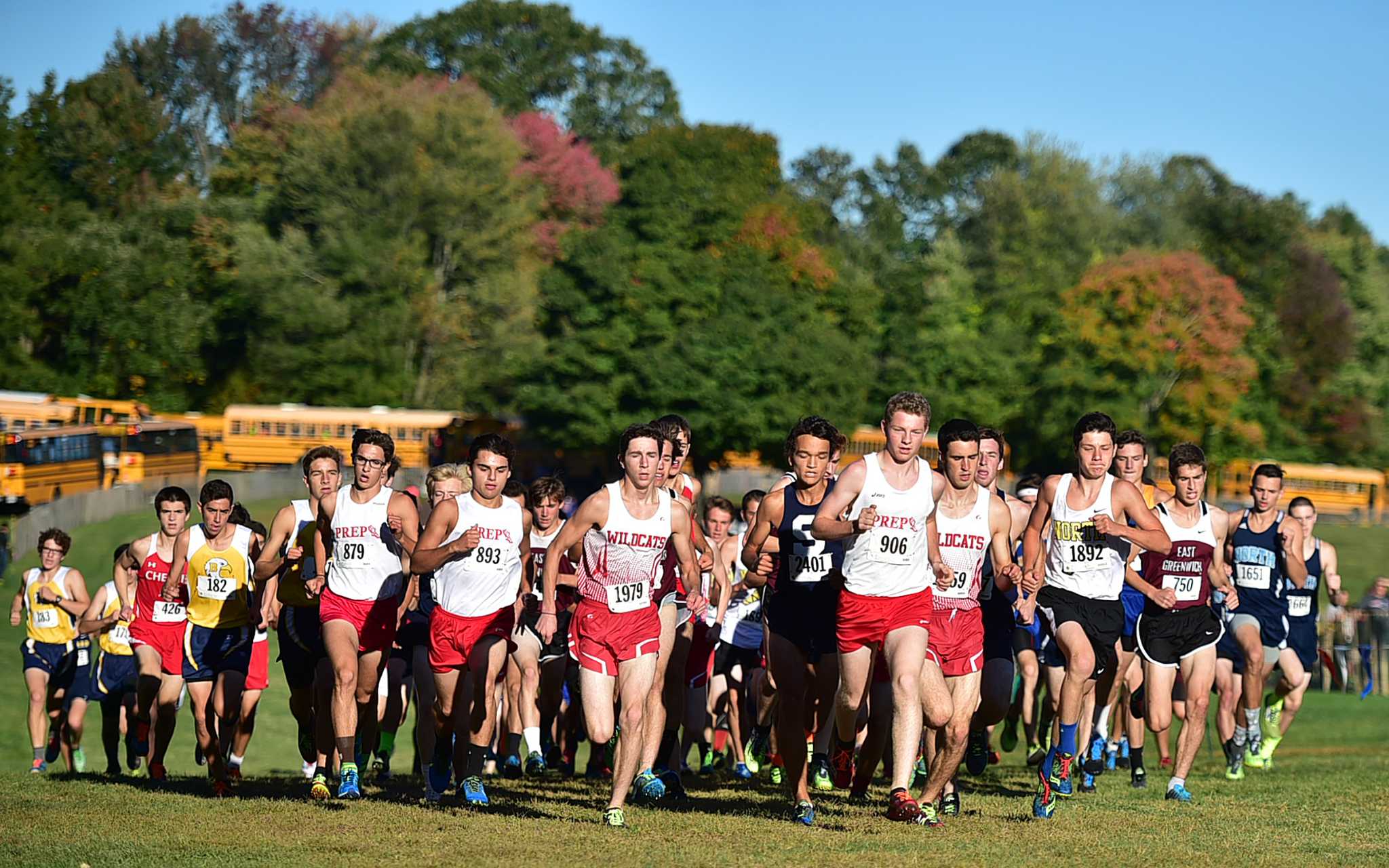 Cross Country: The ULTIMATE State Championship Guide