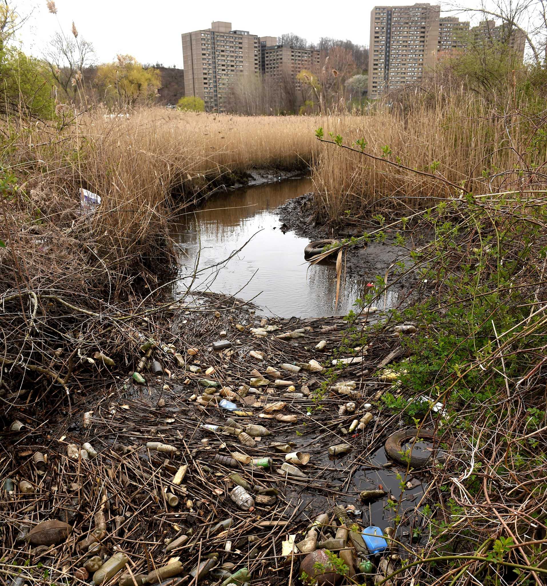 New Haven creek cleanup for Earth Day part of vision of trail network