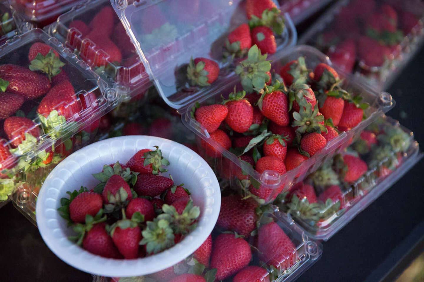 Everything to know about the 2025 Poteet Strawberry Festival