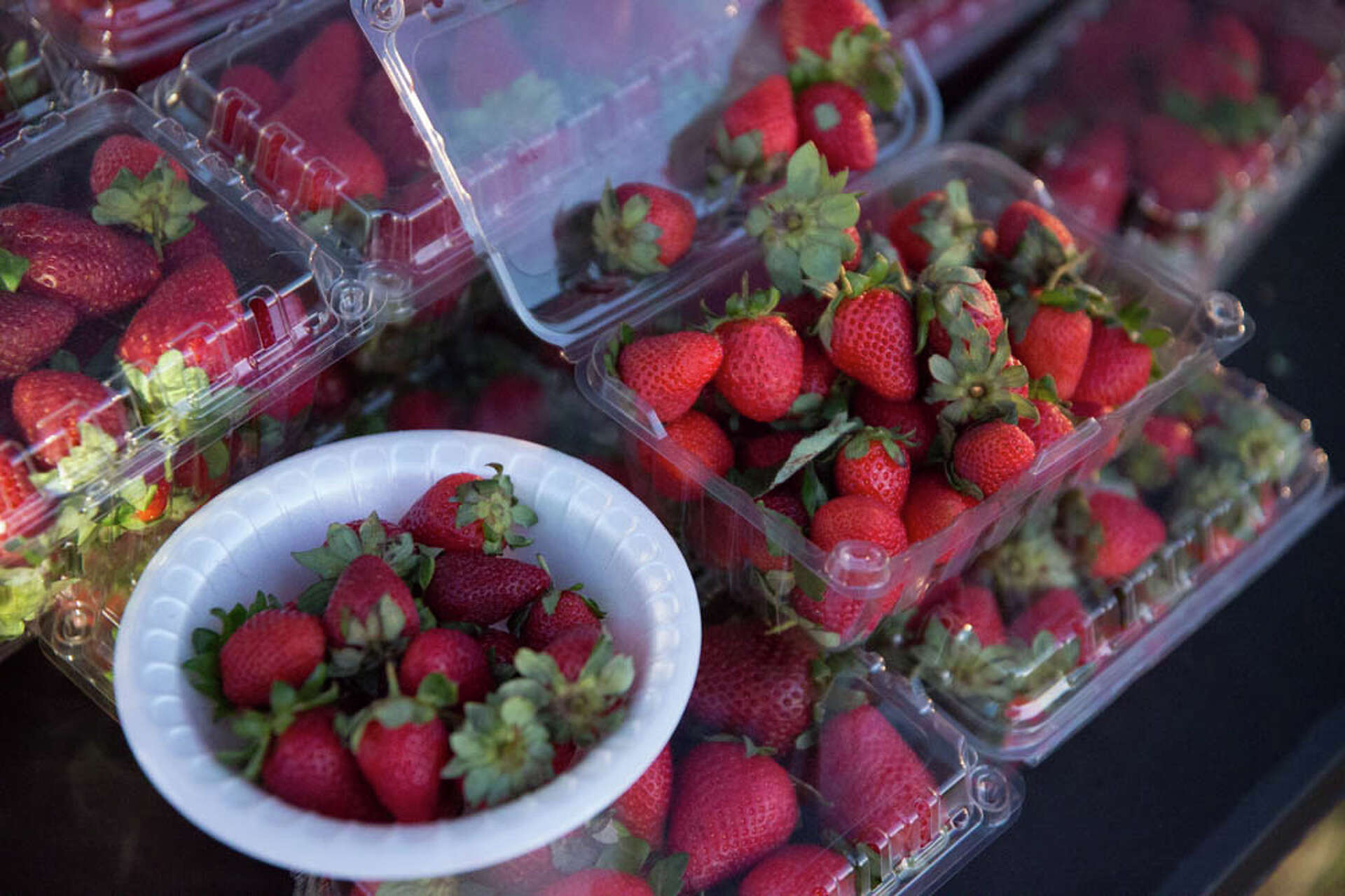 Everything to know about the 2025 Poteet Strawberry Festival