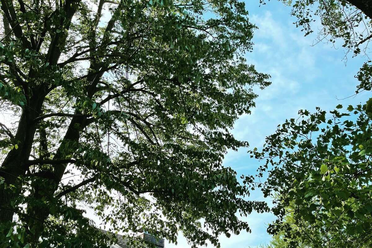 White farmhouse goes from plain Jane to riot of color