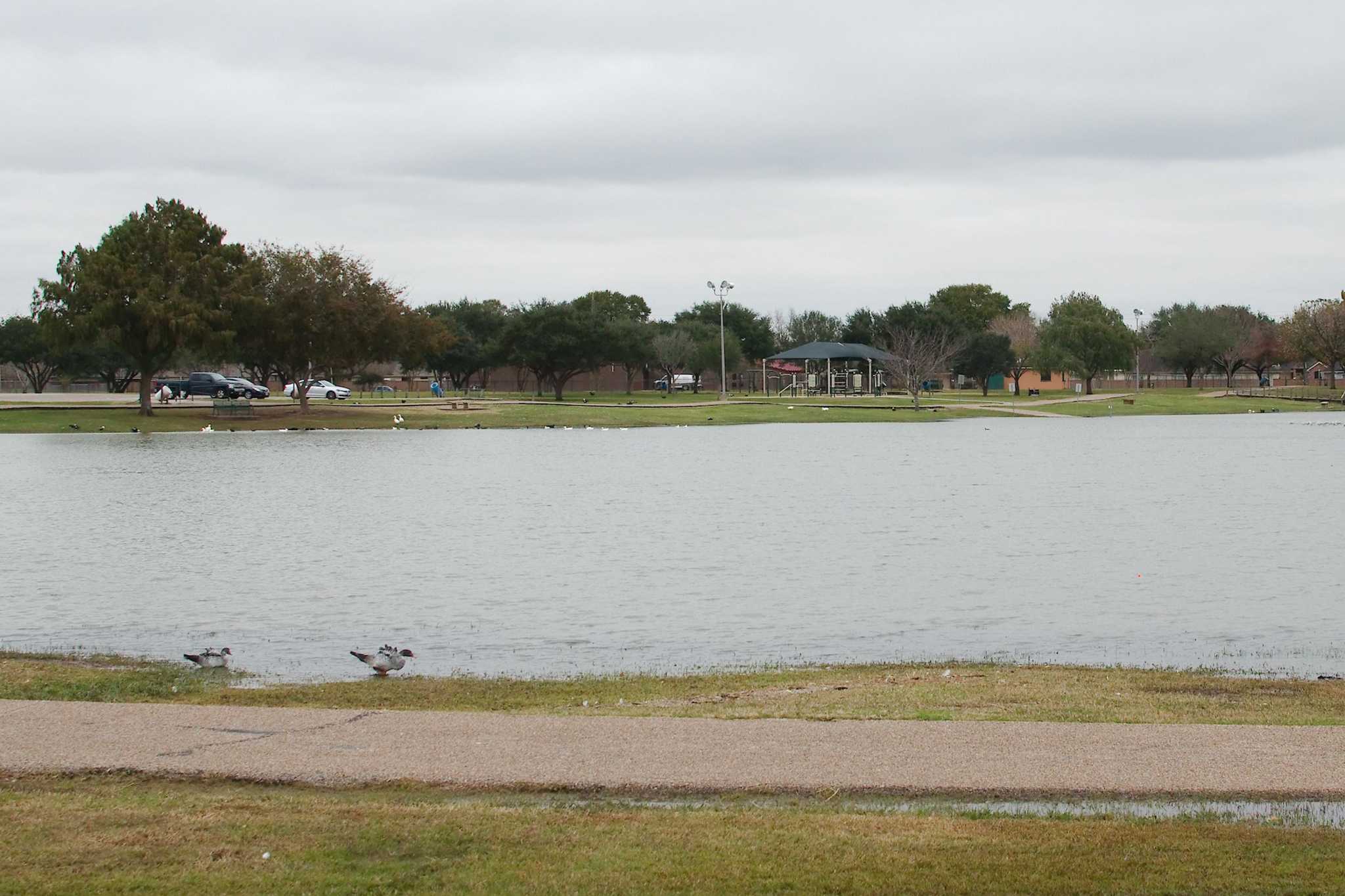 Houston-area lakes to be restocked with catfish biweekly