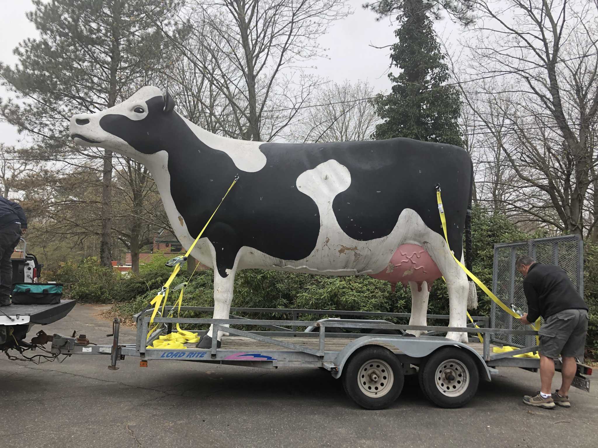 Beardsley zoo’s cow headed for makeover