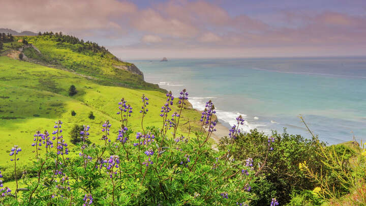 Life in the idyllic NorCal town split into two Americas