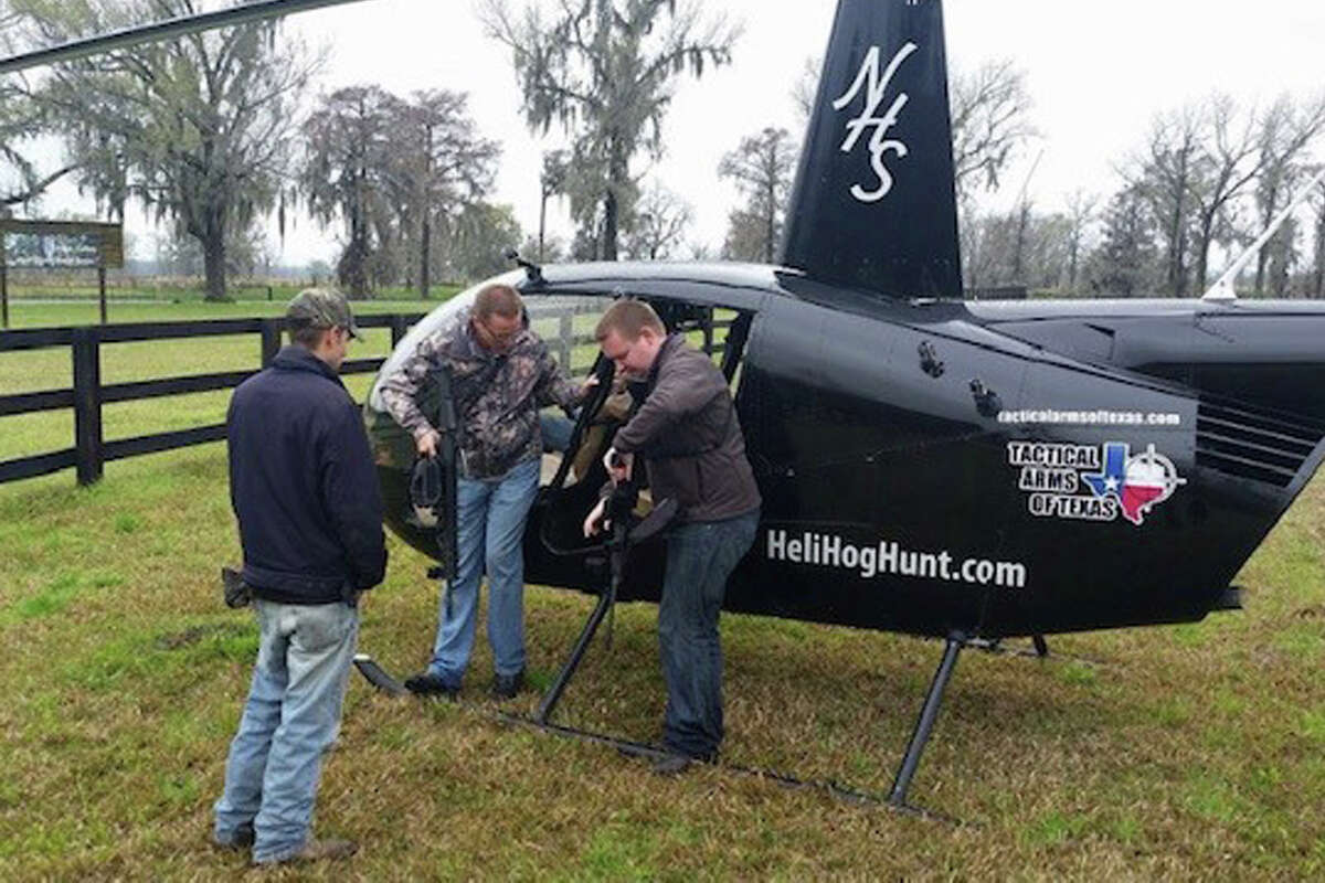 Inside the Texas business of hunting feral hogs with helicopters, guns