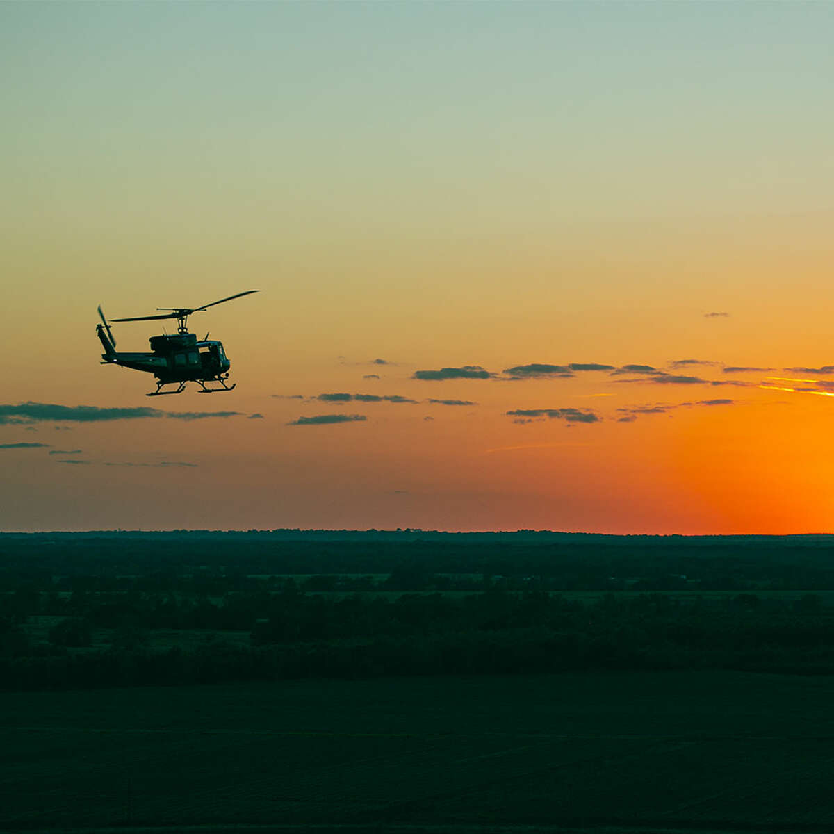 Inside the Texas business of hunting feral hogs with helicopters, guns