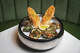 5 things to know about The Warwick, the new restaurant inside the old ...