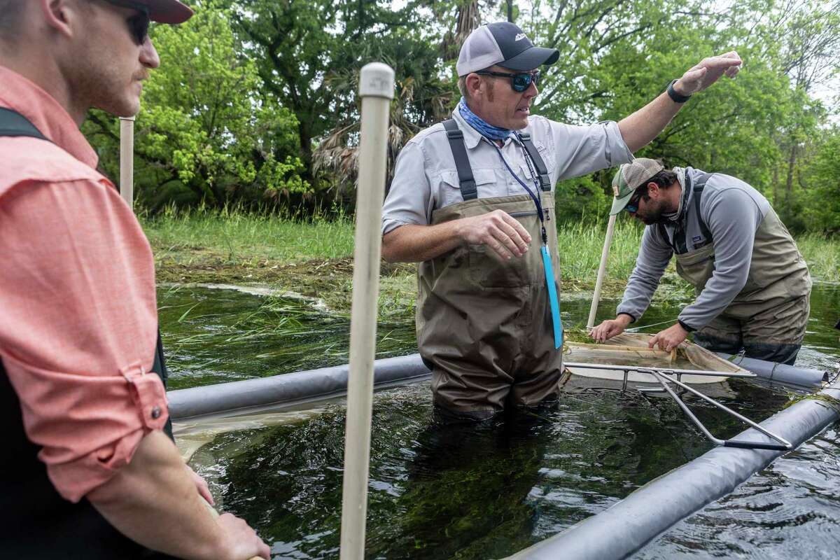 After a decade, conservation efforts seek balance in San Marcos River