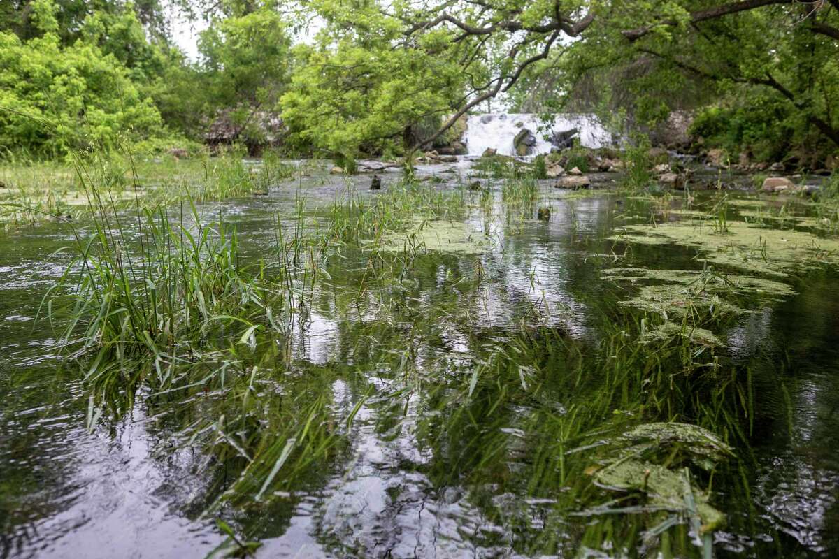 After a decade, conservation efforts seek balance in San Marcos River