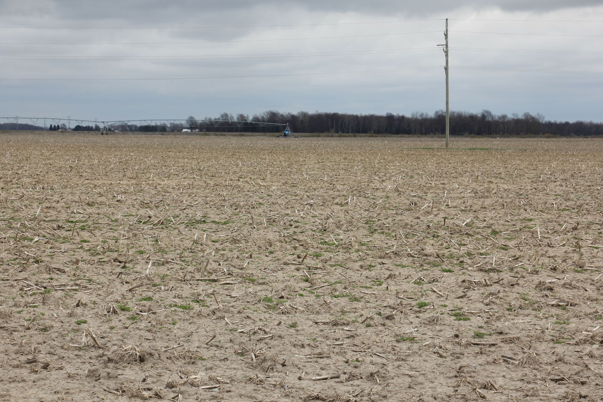 Cold weather delays planting crops